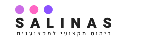 ב.י. סלינס בע"מ - ב.י סלינס בע"מ